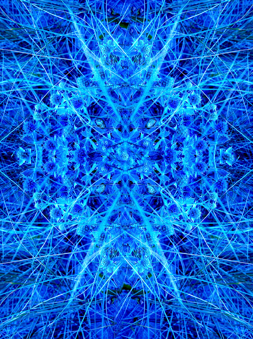 beach - Geoffrey Clark Photography